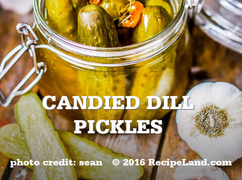 Crock-Style Kosher Dill Pickles recipe