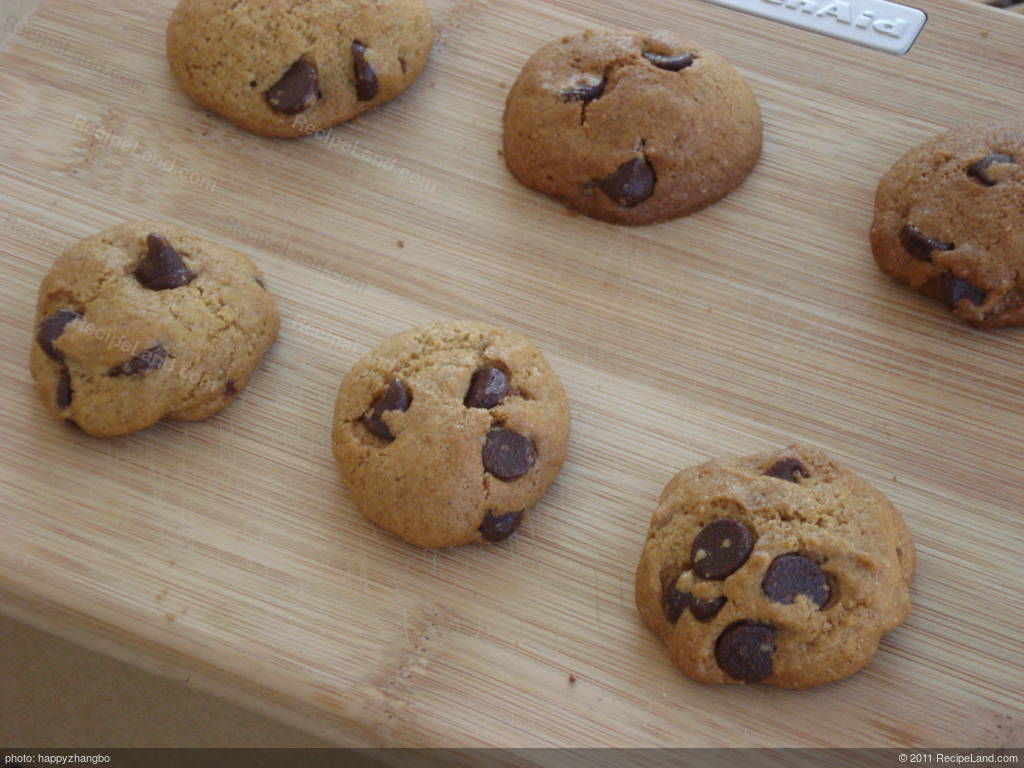 Low Calorie Low Fat Chocolate Chip Cookies Recipe Low Calorie Low Fat Chocolate Chip Cookies Recipe